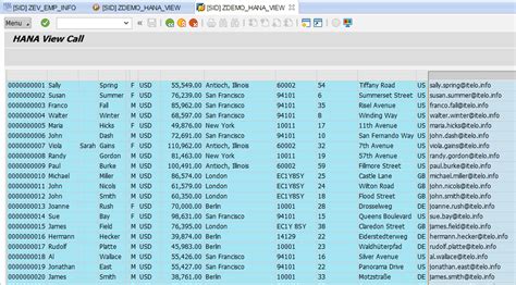 How To Consume Attribute Views In Abap On Hana