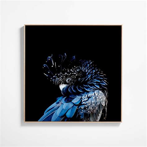 Blue Cockatoo Framed Metal Wall Art Print 40x40 By Debi Dalio