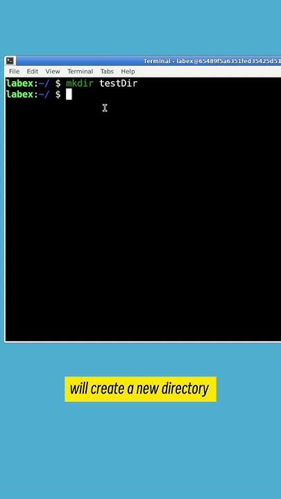 Practice Linux Commands 07 Mkdir Commandline Linux Linuxcommands Learnlinux Youtube