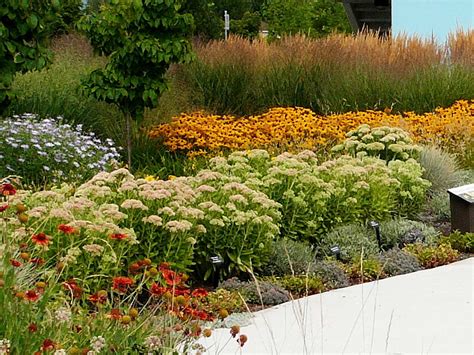 Ornamental Grass Garden Okanagan Xeriscape Association