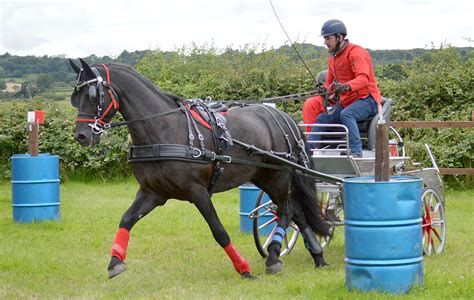 British Carriagedriving