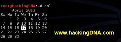 HackingDNA Shell Scripting On Kali Linux