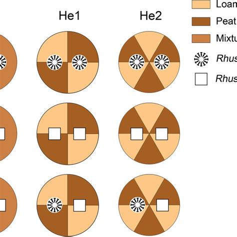 Schematic Representation Of The Three Substrate Types With Different