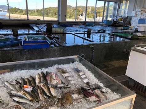 はし長水産直売所 和歌山県御坊市名田町野島 鮮魚店 飲食店 乾物や野菜が買えます グルコミ