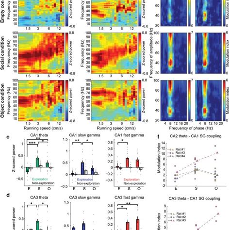 Oscillatory Dynamics And Theta Phase Gamma Amplitude Coupling In
