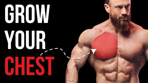 The Ultimate Pec Training Guide The Anatomy Of Lifting Youtube