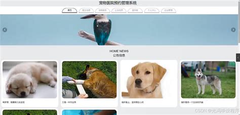 Java计算机毕业设计宠物医院预约管理系统（开题程序论文）基于java的宠物医疗管理系统的设计与实现的参考文献 Csdn博客