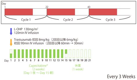 CapecitabineOxaliplatinL OHPTrastuzumab胃癌のレジメン講座消化器癌治療の広場 GI