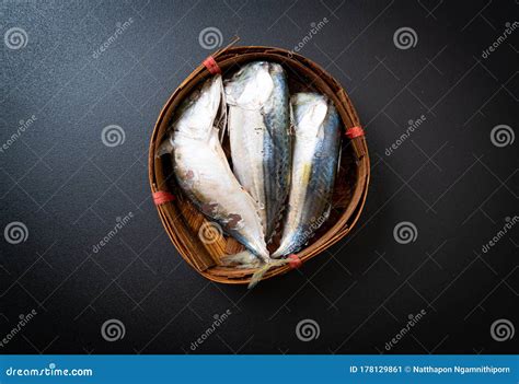 Steamed Mackerel Fish Stock Image Image Of Animal Nutrition 178129861