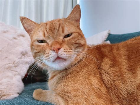 花江 夏樹 On Twitter こんにちは🌞 S8ximpmd5q Twitter 花江 夏樹 On Twitter こんにちは🌞 S8ximpmd5q Twitter