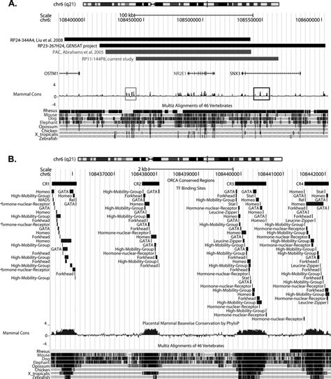 Comparative Genomic Analysis Revealed Candidate Regulatory Elements Download Scientific