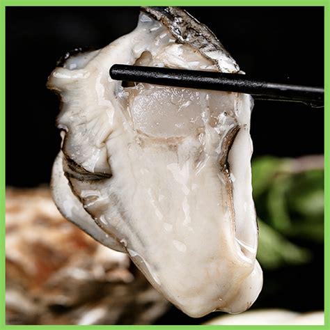 冰極韓國急凍蠔肉korean Frozen Oyster Meat Freshorganic