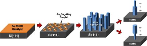 Schematic Diagram Showing The Growth Process Of Hierarchical Gan Nws On