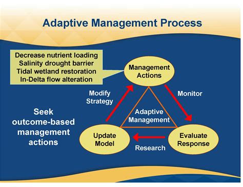 Adaptive Management Of The Nutrient Problem In The Delta Integrating Science And Policy ~ Maven