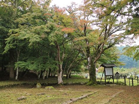 唯称庵ゆいしょうあん跡のカエデ林の紅葉安芸高田市 ミルトルアソブ