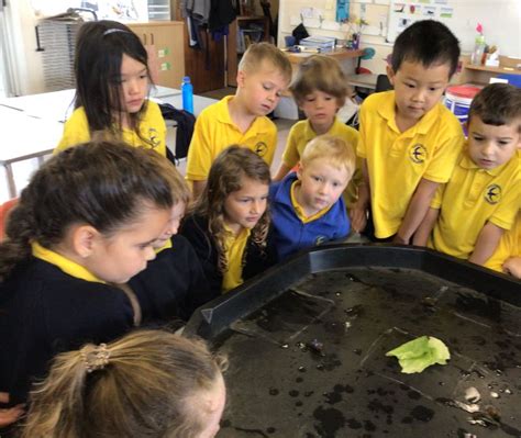 Magical Monday Snail Racing Swallowfield Primary