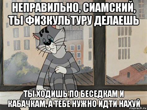 неправильно сиамский ты физкультуру делаешь ты ходишь по беседкам и