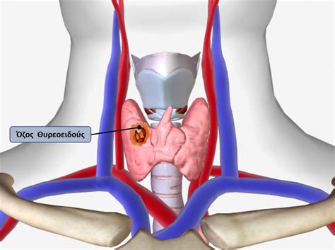 Όζοι Θυρεοειδούς [ Dr Ε Πετρόπουλος ]