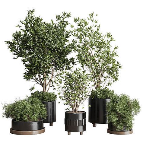 3d Model Indoor Plant Set 298 Concrete Vase Plant Tree Bush Pot Vr Ar