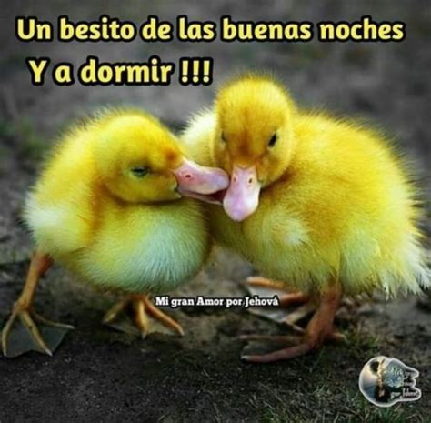 Buenas Noches Fotos Bonitas 454 BonitasImagenes Net