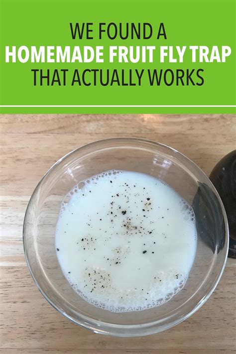 10 Best Ways To Get Rid Of Pesky Fruit Flies Artofit