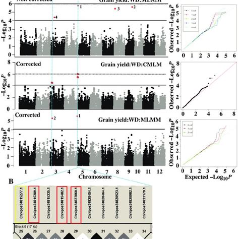 a gwas results manhattan and quantile quantile plot detected