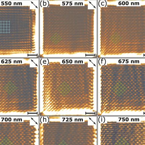 Schematic Of The Snom Microscope With The Supercontinuum Laser Light