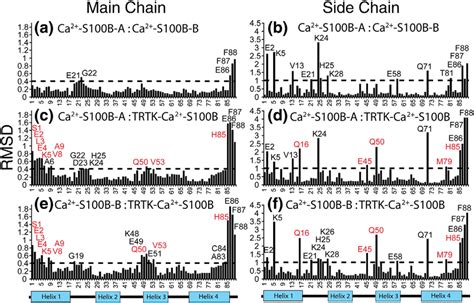 Changes In Main Chain Positioning And Side Chain Positioning For The Download Scientific