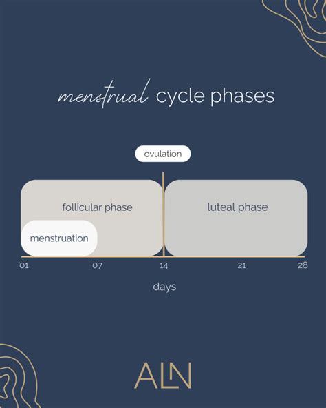 How To Fuel Around Your Menstrual Cycle