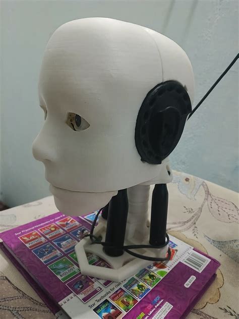 Animatronic Robotic Head Project Completed General Guidance