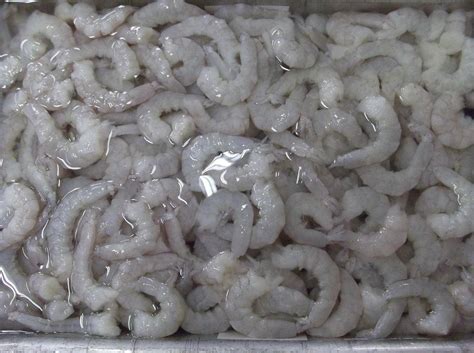 Vannamei Shrimp VN Seafood Solutions CORP Ecplaza Net