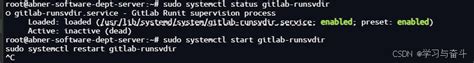 ubuntu gitlab 启动失败 报错 runsv not running fail logrotate runsv not
