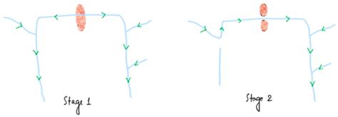 Drainage System Upsc Drainage Patterns And Geomorphic Relevance