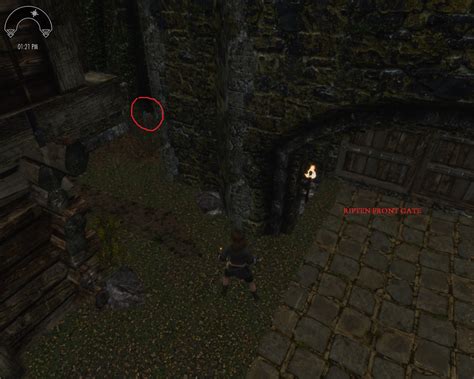 Rogue Outfit Armor And Clothing Loverslab