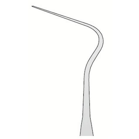 Explorer Anatomic N8a