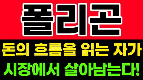 폴리곤 코인 돈의 흐름을 읽는자가 시장에서 살아남는다 폴리곤코인목표가 폴리곤전망 폴리곤가격 폴리곤코인가격 폴리곤코인
