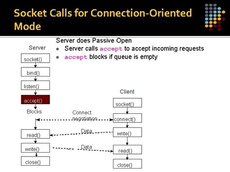 Berkeley API Socket Programming Socket API Application Programming