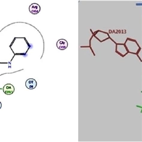 Ligand Interaction Diagrama And 3d Representation B Of 7b Into S