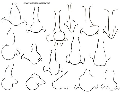 How To Draw Cartoon Noses Nose Drawing Cartoon Drawings Cartoon Noses