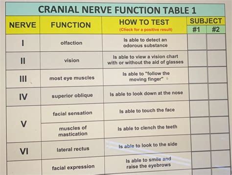 Solved CRANIAL NERVE FUNCTION TABLE SUBJECT NERVE FUNCTION Chegg Com