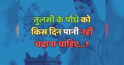Trending Quiz तुलसी के पौधे को किस दिन पानी नहीं चढ़ाना चाहिए