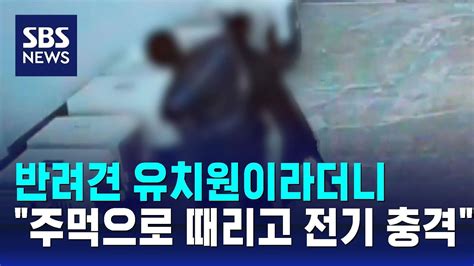 반려견 유치원이라더니 주먹으로 때리고 전기 충격 SBS YouTube