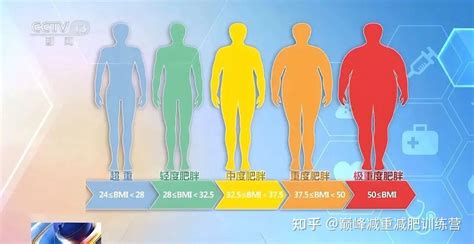 国家不同意你胖！！！卫健委主任：实施“体重管理年”3年行动 知乎
