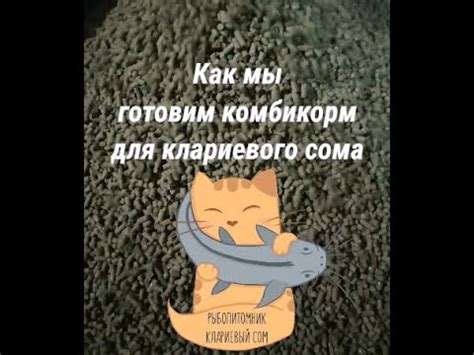 Как мы готовим комбикорм для Клариевого сома - YouTube