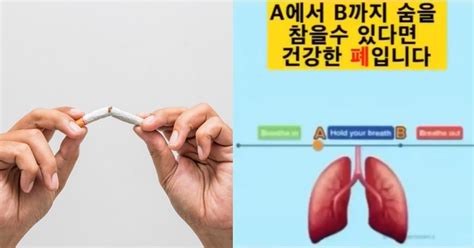 흡연자라면 꼭 해보세요” 실패한다면 금연 생각해야 할 폐활량 테스트 위키트리