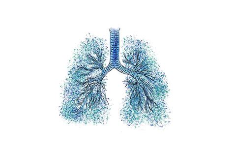 Notus Boosts Dupilumab Role For Copd Type 2 Inflammation Multidisciplinary Mims Thailand