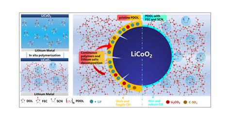 In Situ Polymerized 13 Dioxolane Solid State Electrolyte With Space Confined Plasticizers For