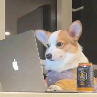 Bryan Lin Gitlab