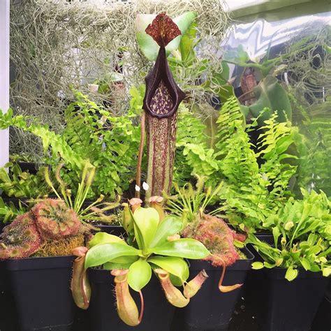 Divide And Culture Added A New Photo Divide And Culture