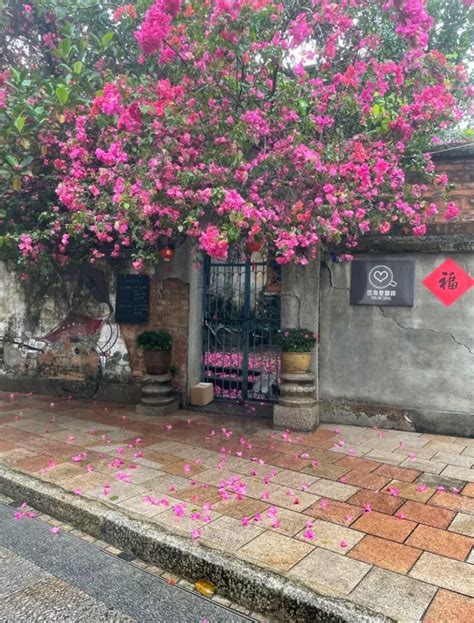 珠海好去處2024 必去佘詩曼視后家鄉！8大食玩買打卡攻略 長隆宇宙飛船美食商場太空中心賽車場 星島日報